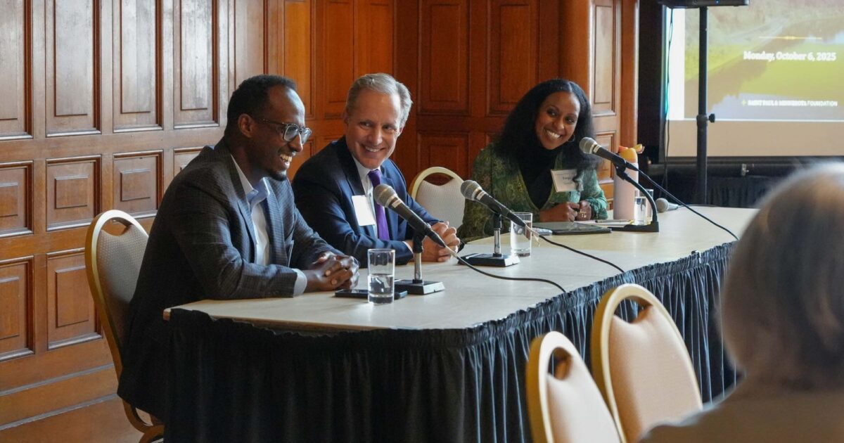 Strengthening Democracy: Community Voices and Civic Engagement in ...