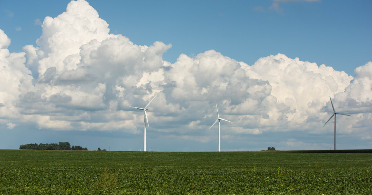 Final Round of MDRF Grants Awarded | Saint Paul & Minnesota Foundation