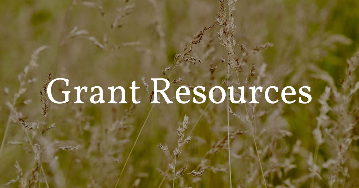 Grant Application Resources | Saint Paul & Minnesota Foundation